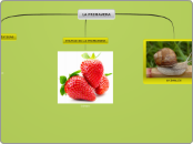 LA PRIMAVERA - Mind Map